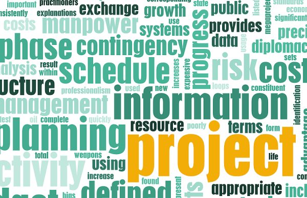 Enhancing Success with Project Management Task Ownership | LMA ...